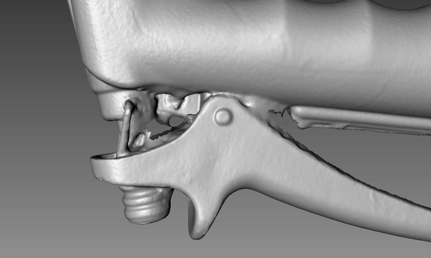 Polyga Scan of the Week #5 – Learning How to Scan with a 3D Scanner